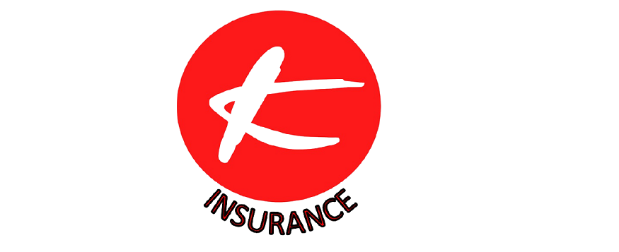 Insurance companies – ديوان التآمين